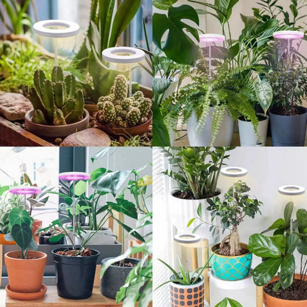 LED Pflanzenwachstumslampe Ring Dimmen Timing Einstellbar Weiß on OnBuy