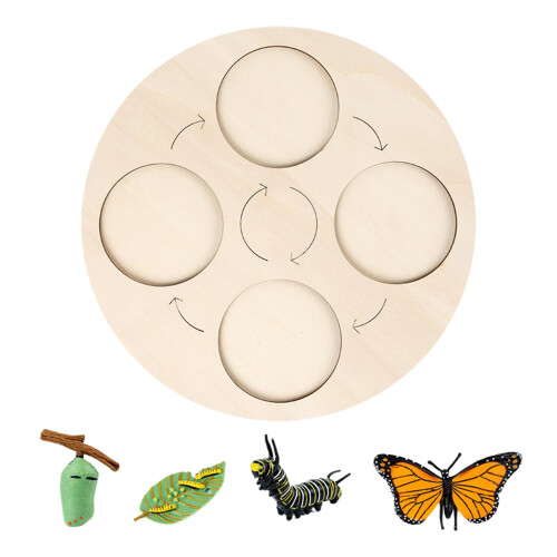 Butterfly Lifecycle Kit - Wooden Educational Puzzle Board for Kids ...