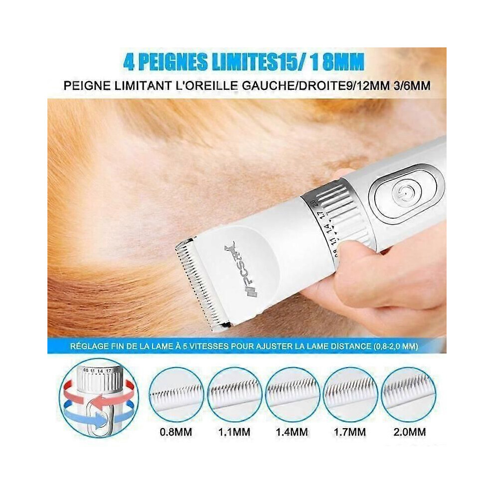 Tondeuse pour chiens et chats - Ciseaux de beauté sans fil et ...