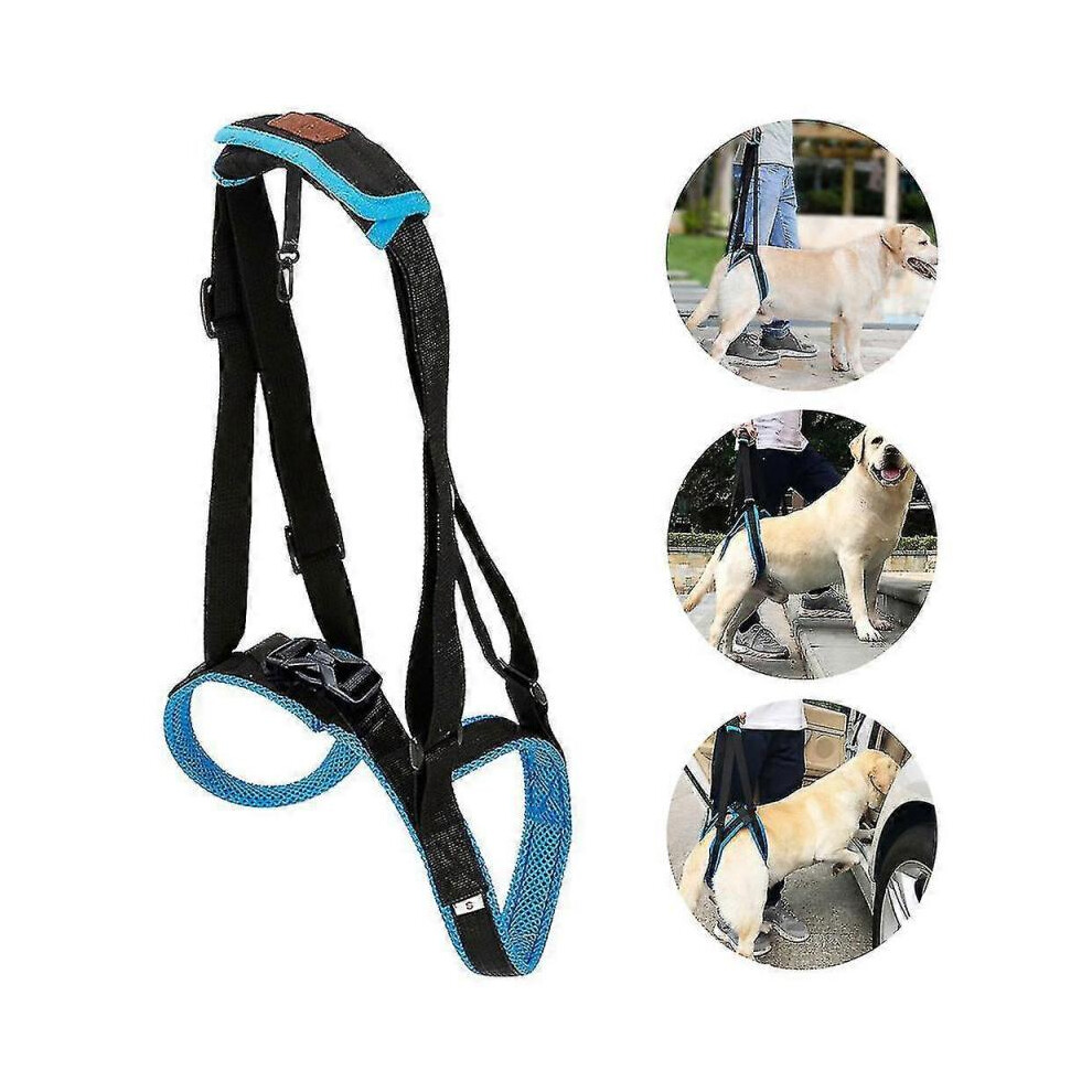 (L) Dog Lift Harness For Back Legs Portable Pet Support Sling For Help ...