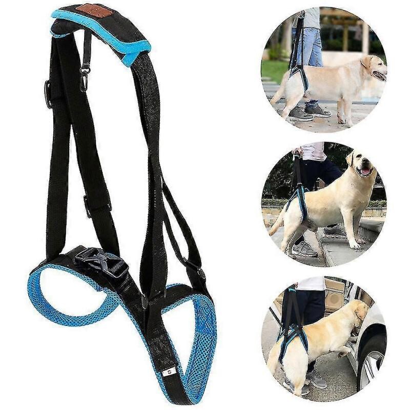 (L) Dog Lift Harness For Back Legs Portable Pet Support Sling For Help ...