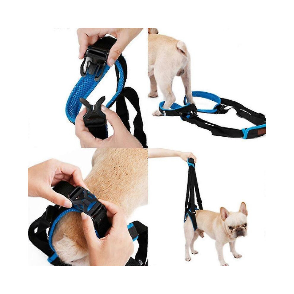 (L) Dog Lift Harness For Back Legs Portable Pet Support Sling For Help ...