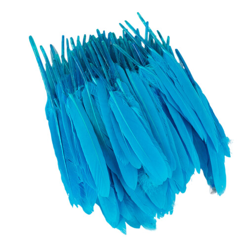 (Sky Blue) 100x Non-toxic And Odorless Exquisite Craft Feathers For DIY ...