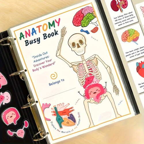 Interactive Human Anatomy Busy Book With Labeled Organs 500 Body Facts ...