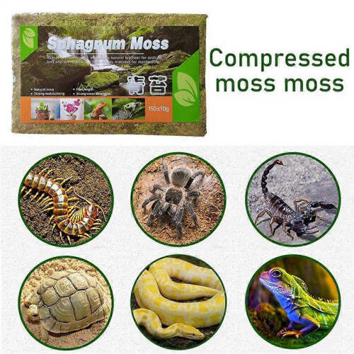 Compressed Sphagnum Moss for Potted Plant Orchid Potting Mix Peat Moss ...