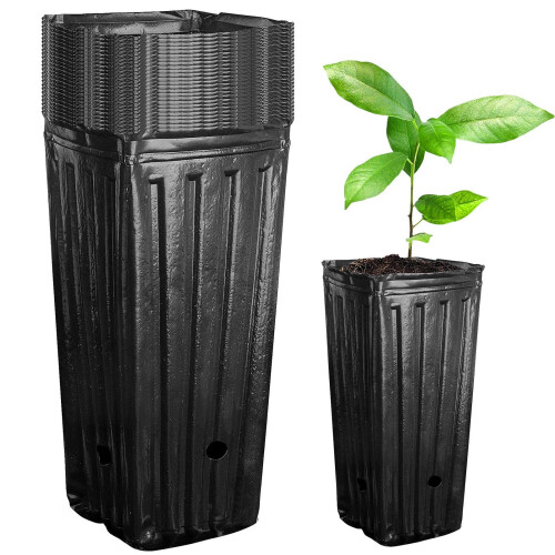 Nursery Pots Tall 20/40/60, 20cm Deep Plastic Tree Pots For Seedlings ...