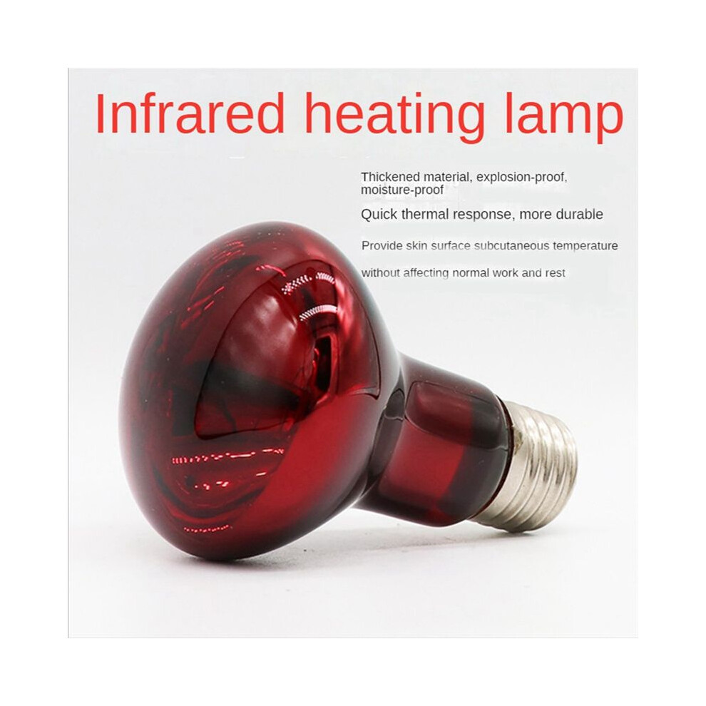 2 becuri de încălzire pentru reptile de 100W, becuri cu infraroșu ...