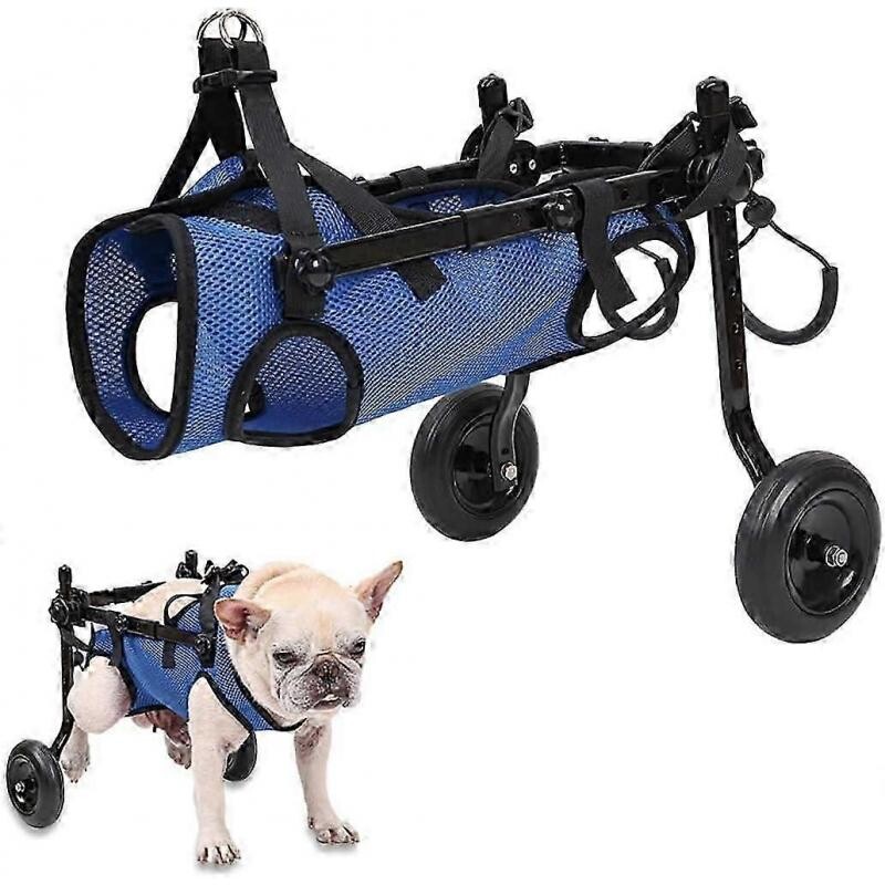 (XS) Dog Wheelchair, New 2-Wheeled Cat Wheel Chair, Adjustable Dog ...