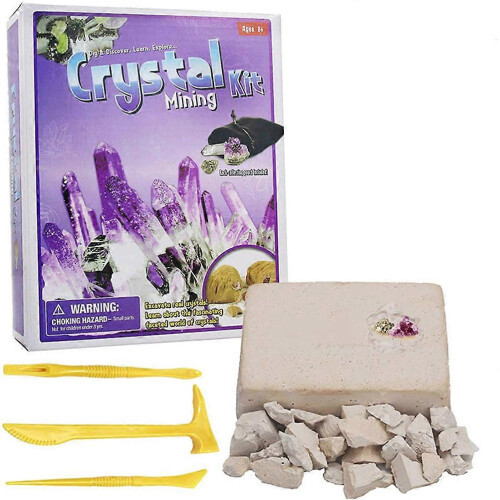(As show, One size) Kids Tone Dig Kit Fossils Digging and Excavation ...