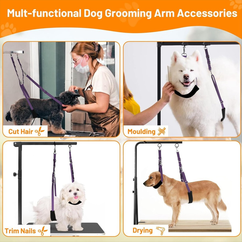 Correa abdominal para el cuidado del perro, lazos para el cuidado del ...