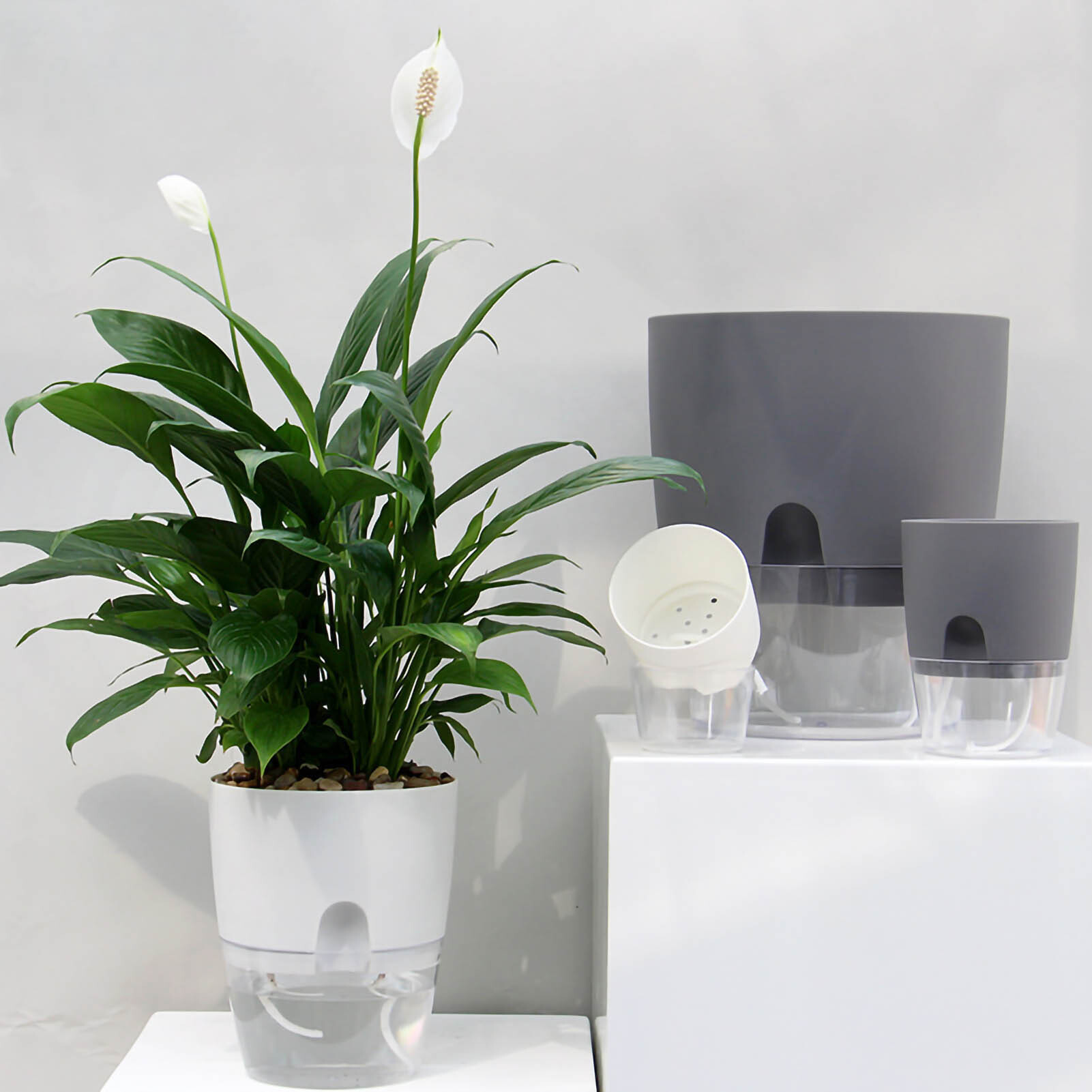 Pots carrés en plastique transparent, en polypropylène durable, avec ...