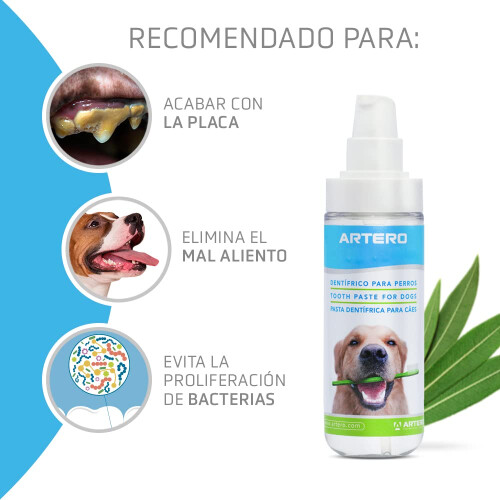 Artero Dentix Tandpasta Gel voor Honden om Tandplak te Verwijderen en ...