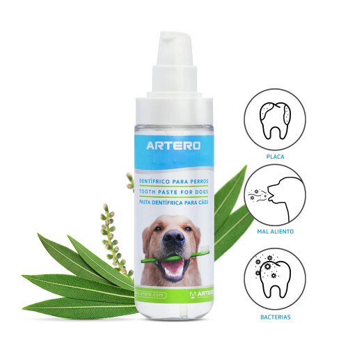 Artero Dentix Tandpasta Gel voor Honden om Tandplak te Verwijderen en ...