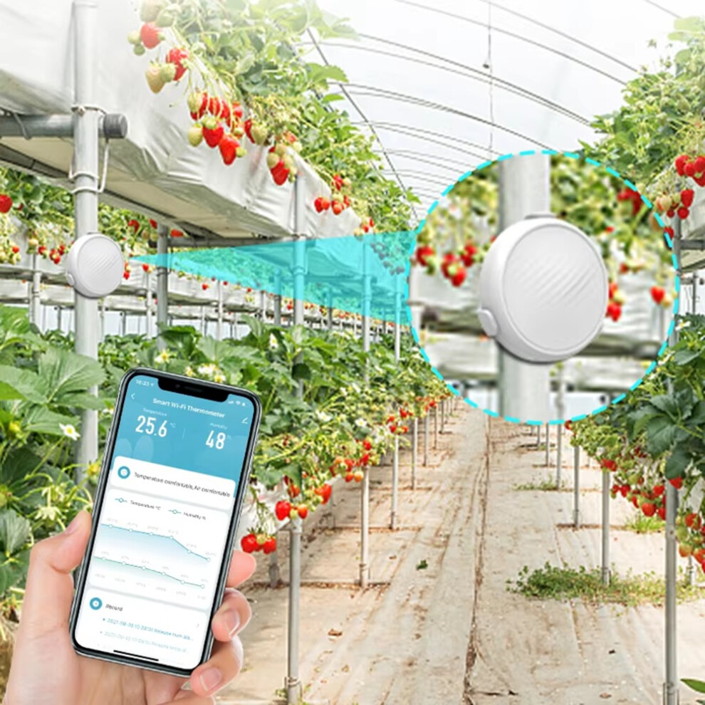 Mini WiFi Wireless Indoor Thermometer, Hygrometer & Data Logger, Smart ...