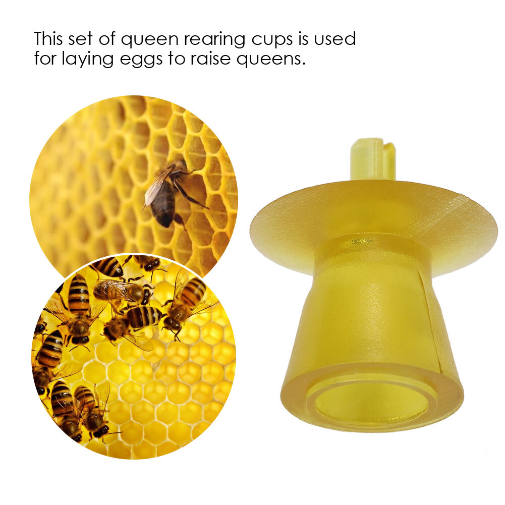 Beekeeping Queen Rearing Supplies Queen Cell Cups JZ-BZ Queen Rearing ...