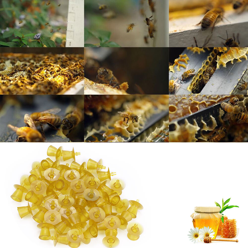 Beekeeping Queen Rearing Supplies Queen Cell Cups JZ-BZ Queen Rearing ...