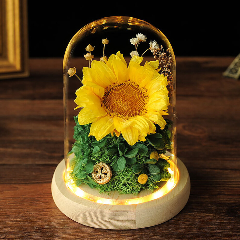 Fleurs stabilisées sous cloche de verre, cadeaux de Saint-Valentin ...