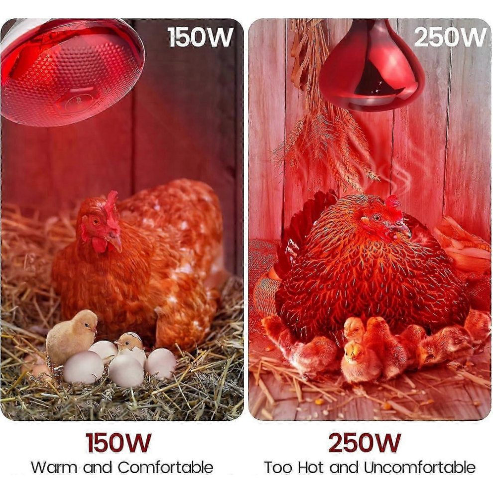 220 V 100 - 275 W E27 Lampa grzewcza na podczerwień dla kur, kurników ...