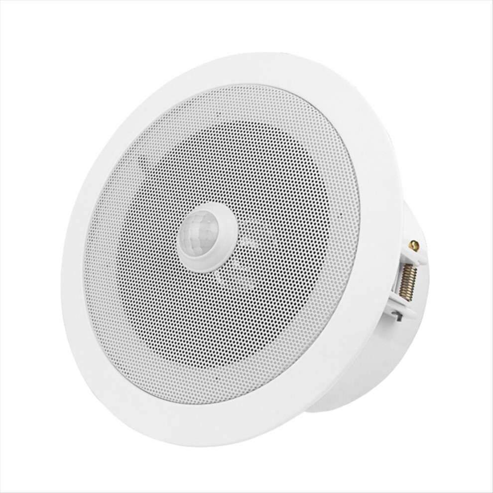 Overhead Motion Activated Audio Player PIR Triggered Ceiling Speaker ...