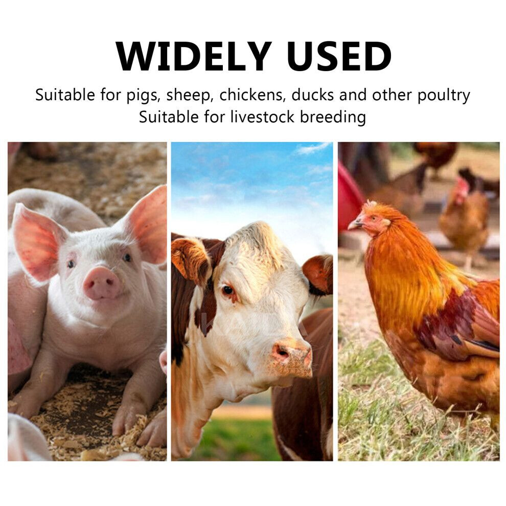 Seringue chirurgicale ajustable de 2 ml avec 2 aiguilles pour bovins et ...