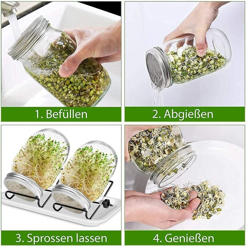 Kit complet de germination, bocaux Mason à large ouverture pour faire ...