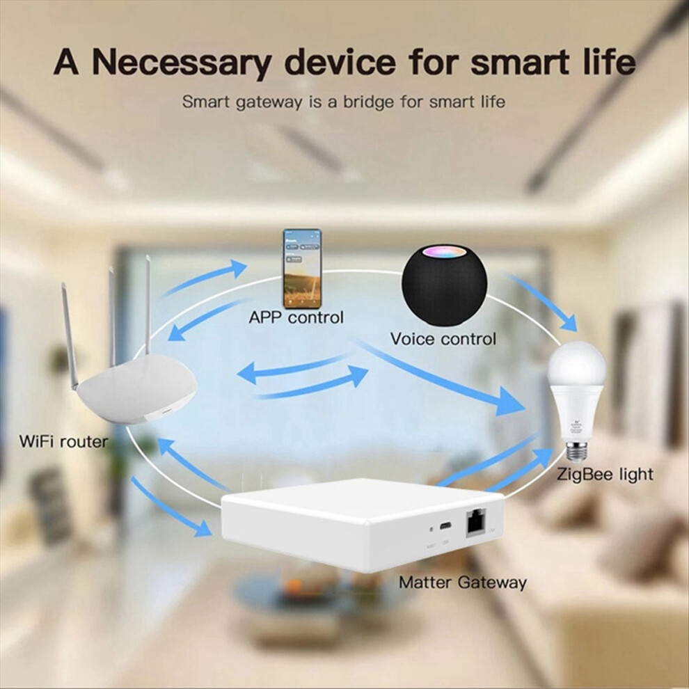 Graffiti Zigbee Wired Gateway for Matter Protocol Smart Home Network ...