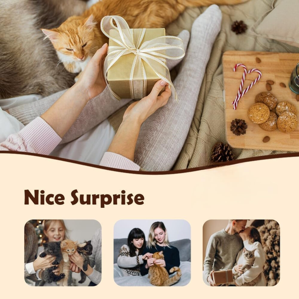 2026 New Chase Cat Toy Rechargeable - Interactive Chirping Bird ...