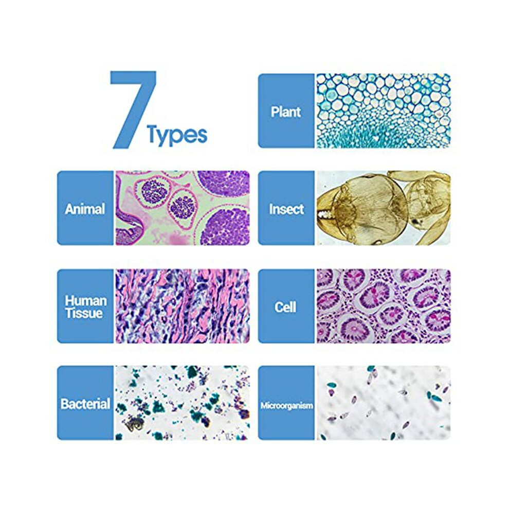 ObjektträGer mit Proben Von Kindern, ObjektträGer für die Mikrobiologie bei Erwachsenen bei ...