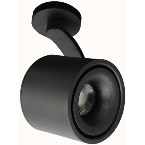 Flexible Adjustable Directional Ceiling Spotlight, Aluminum Indoor ...