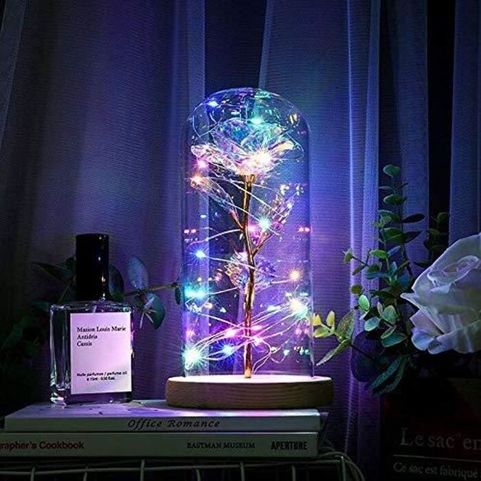 Beauty and the Beast Eternal Rose in a Bell Jar - ZGEER - Colorful ...