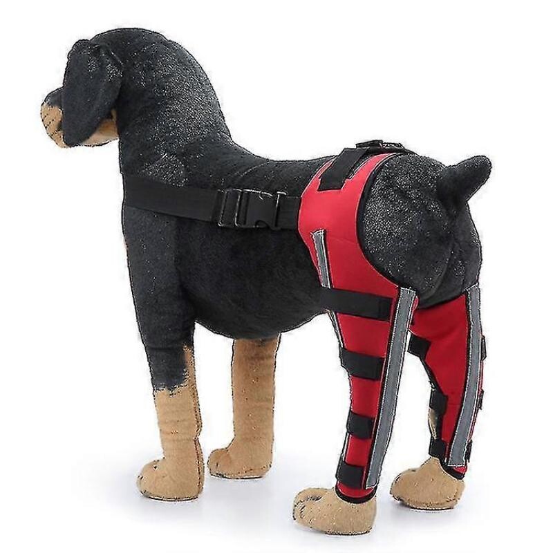 (XS, red2) Double Rear Leg Protection Dog Knee Brace For Acl Knee Cap ...
