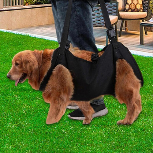 (M) Dog Lift Harness Sling Carrier, Pet Legs Support & Rehabilitation ...