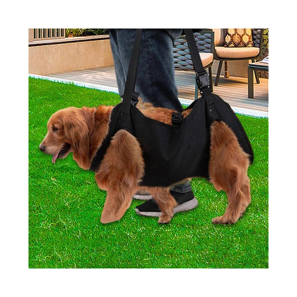 (M) Dog Lift Harness Sling Carrier, Pet Legs Support & Rehabilitation ...