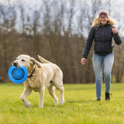 Ultimate Flying Disc for Sports Enthusiasts, Camping Activities ...