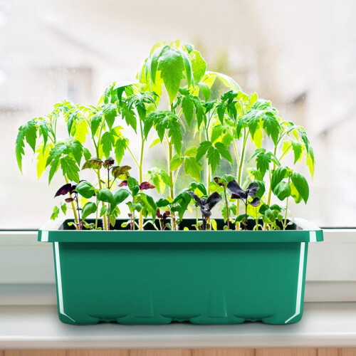 Plant Propagation Station with Humidity Domes, Seed Starter Tray ...