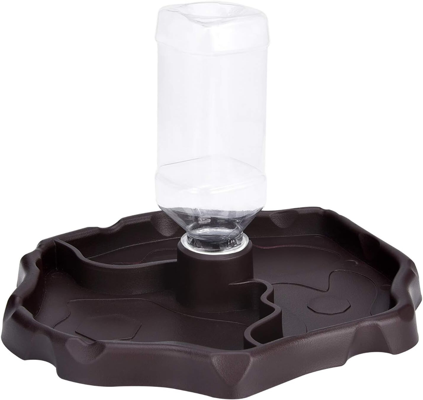 Distributeur d'eau automatique pour reptiles (dragons barbus, geckos ...