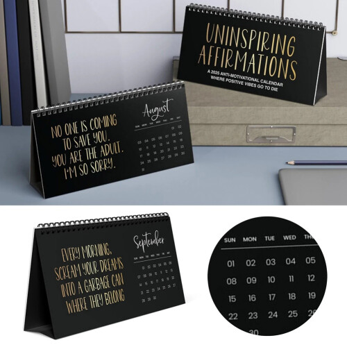 2025 Satirical Calendar A Daily Dose of Humor to Make Life No Longer ...
