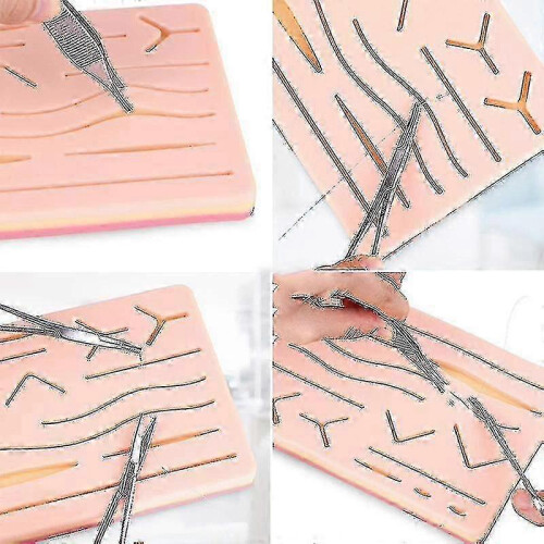 Professional Suture Practice Kit for Medical Students - Silicone Suture ...