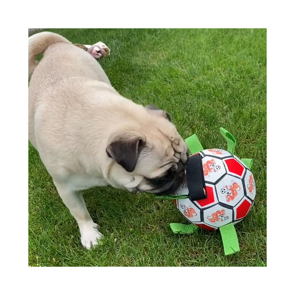 Dog Soccer Balls, Interactive Toy with Upgraded Bladder, Safe & Sturdy ...
