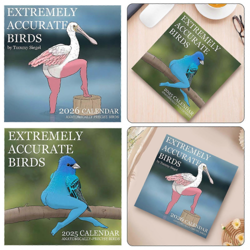 2026 Calendar of Extremely Accurate Birds - 12 Months Wall Calendar ...