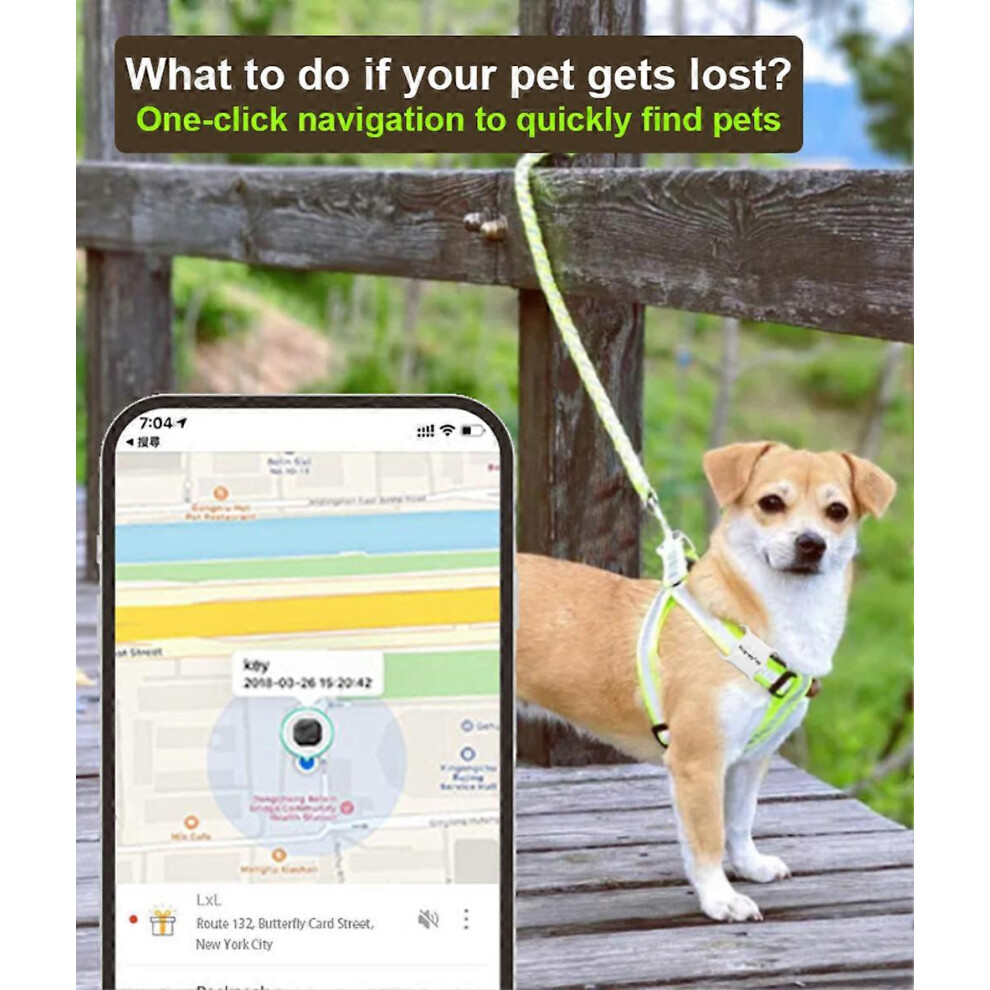Waterproof GPS Dog Cat Pet Finder Tracker Anti-Lost No Monthly Fee App ...