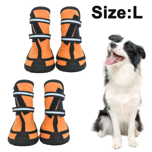Chaussures pour chien Paw Gear avec sangles réfléchissantes, matériau ...