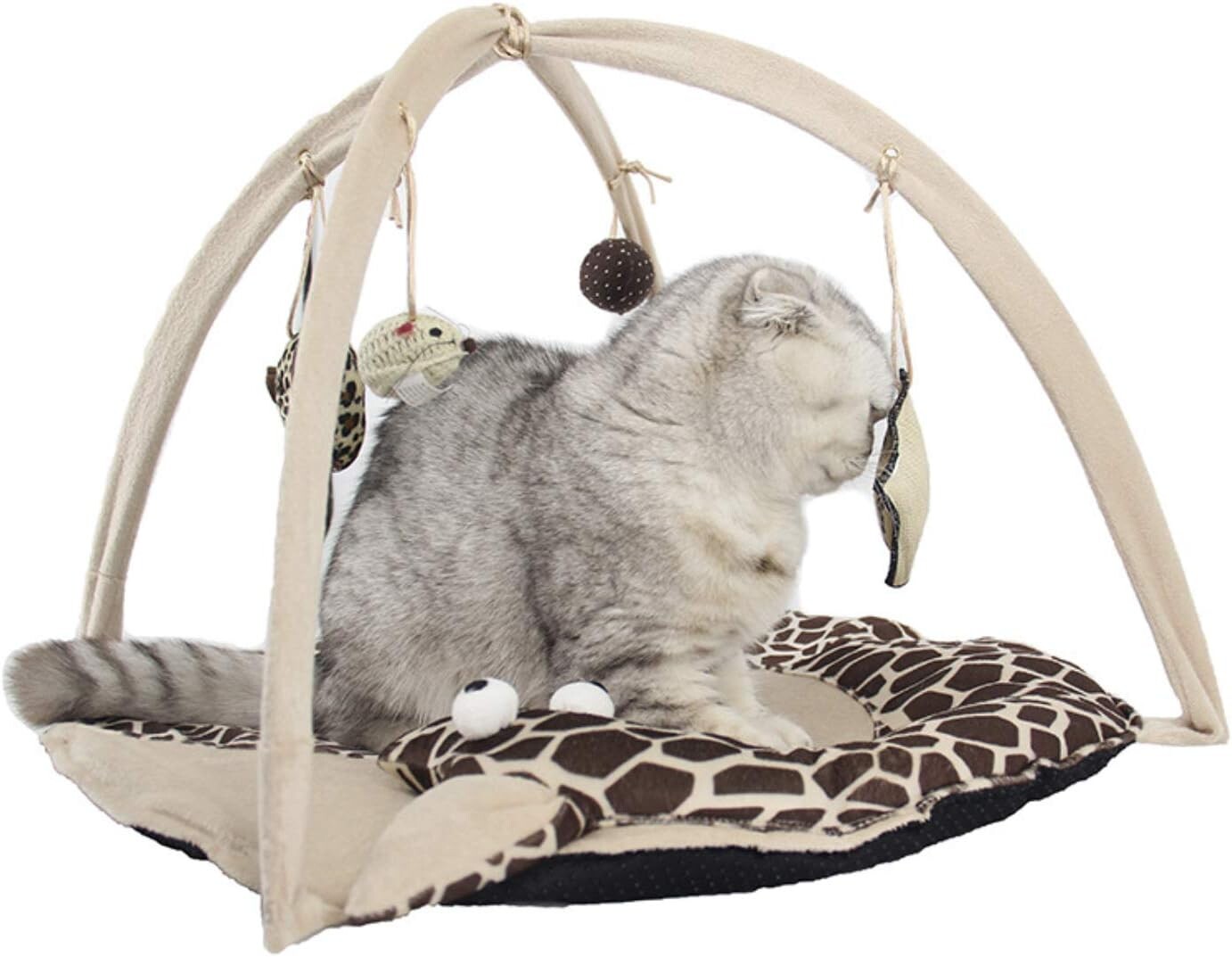 Centre d'activités interactif pour chats, aire de jeux pliable pour ...