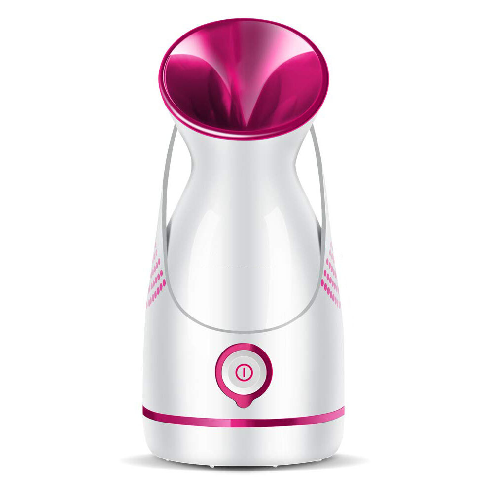 Vaporizzatore facciale portatile nano-ionico: penetrazione potenziata ...