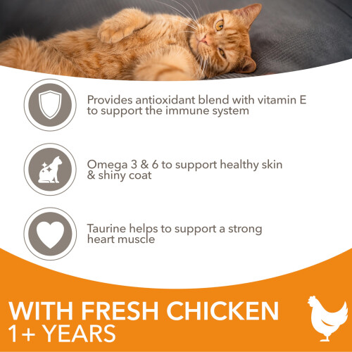 IAMS Adult Complete Dry Cat Food Chicken 3kg - Supports Strong Immune ...