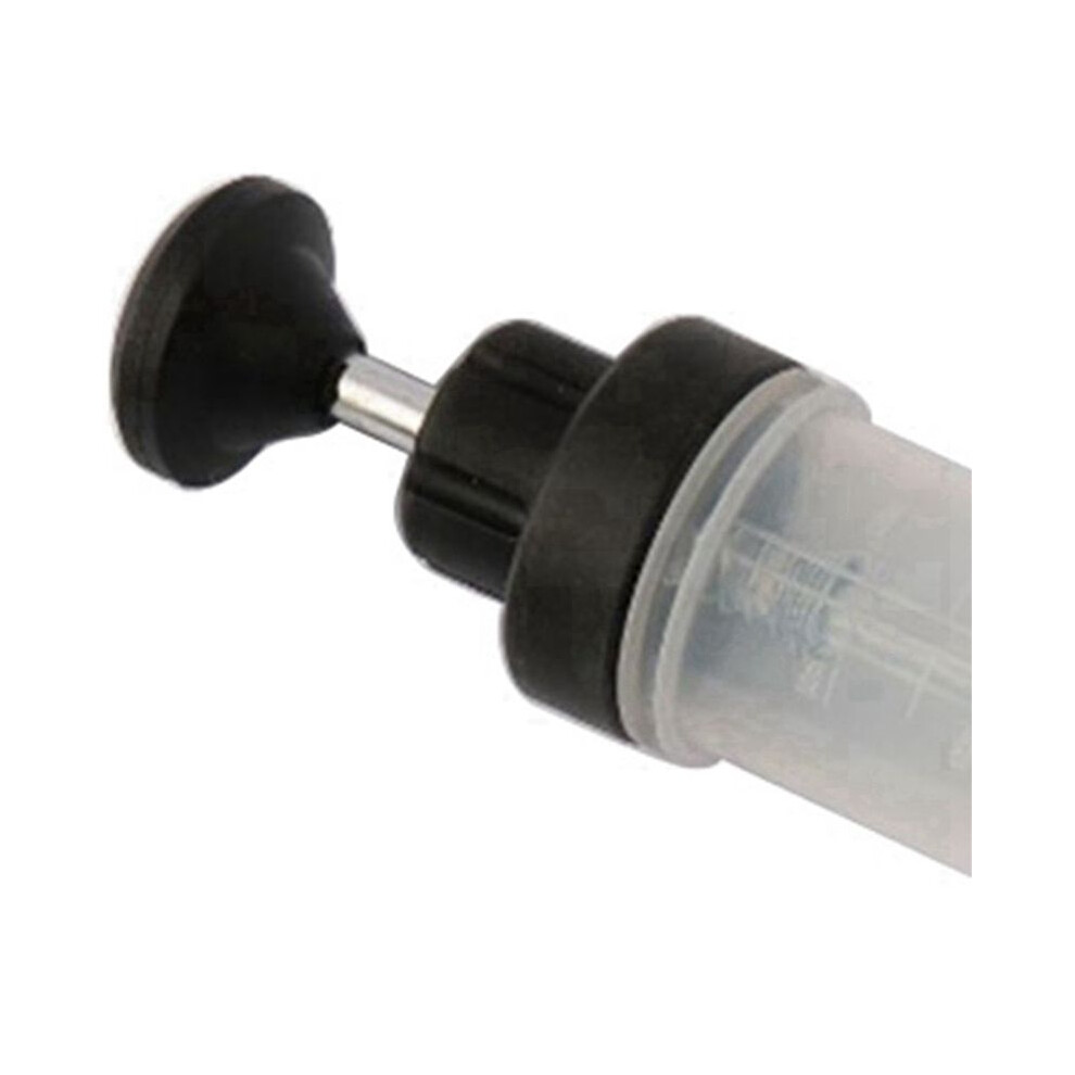 2X Car Oil Fluid Extractor Siphon Pump Brake Fluid Seringue Pump Auto ...