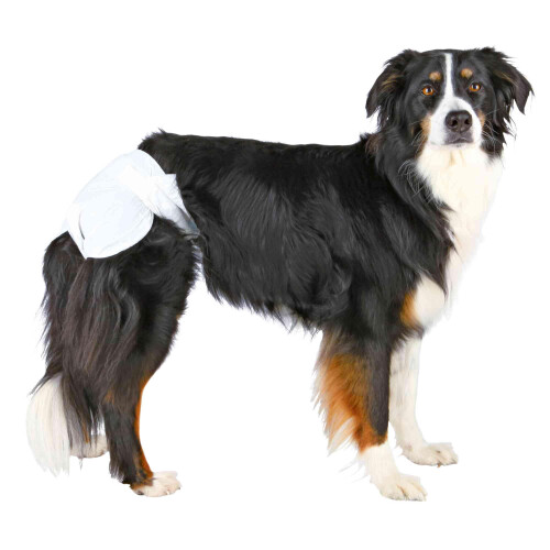 Diapers (nappies) for dogs, 12 pieces, XL, 12 pcs on OnBuy
