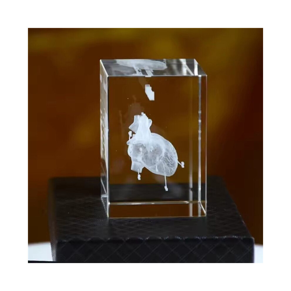 Figuras Anatómicas Grabadas con Láser en 3D, Modelo de Corazón de ...