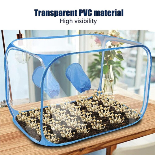 Mushroom Grow Still Air BoxPortable Plastic Mycology Fume Hood ...