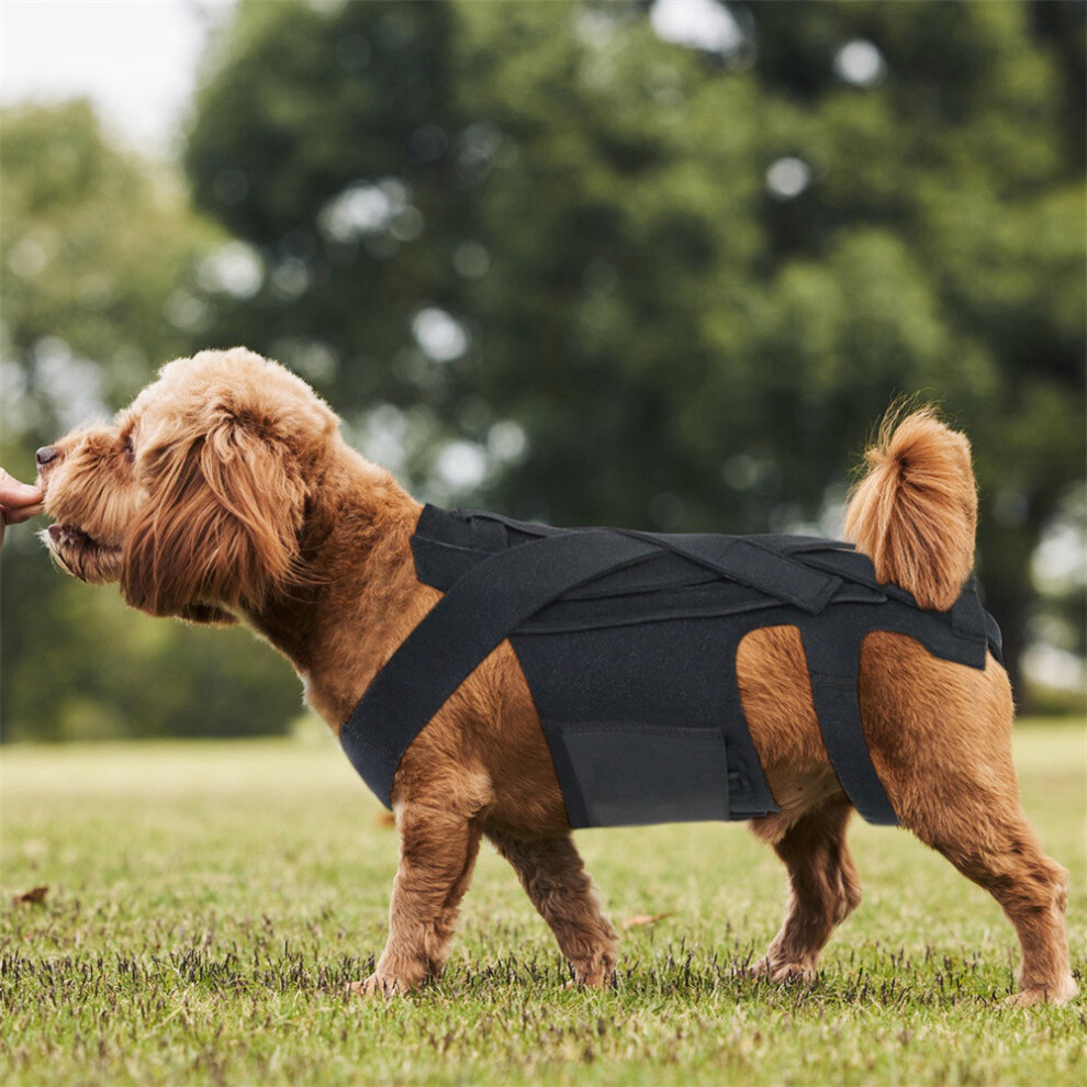 Dog Back Brace for IVDD,Pet Dog Back Brace Comfortable Full Body ...